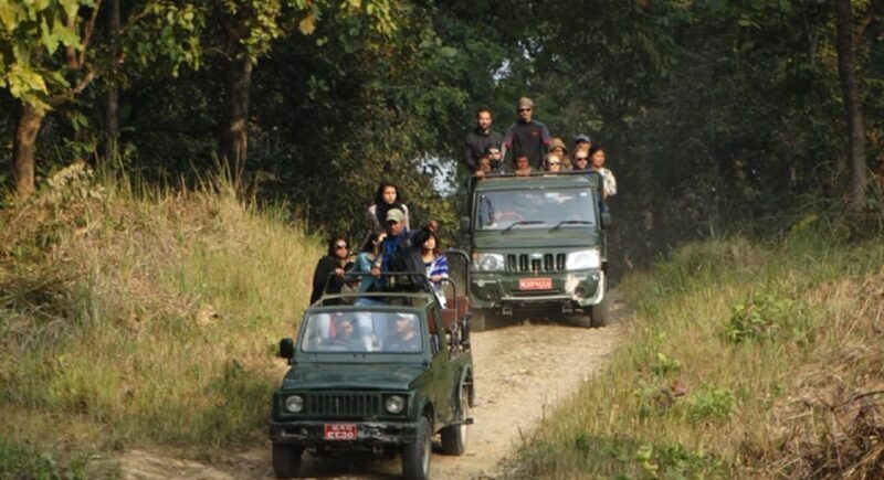 Chitwan Jungle safari 2 Nights 3 Days from Kathmandu - Exploring the Itinerary in Detail