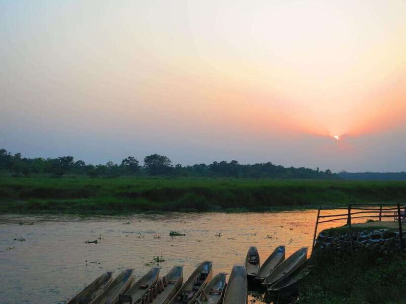 Chitwan Jungle Safari - 2 nights / 3 days - The Experience in Detail: What You Can Expect