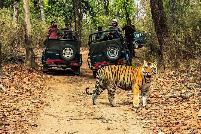 Chitwan Jungle Safari 3-Day Tour - Exploring the Chitwan Jungle Safari 3-Day Tour: A Well-Rounded Adventure into Nepal’s Biodiversity