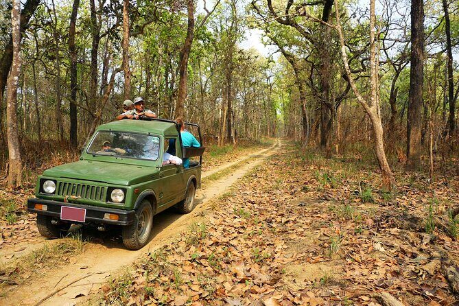 Chitwan Jungle Safari 3-Day Tour - Key Points