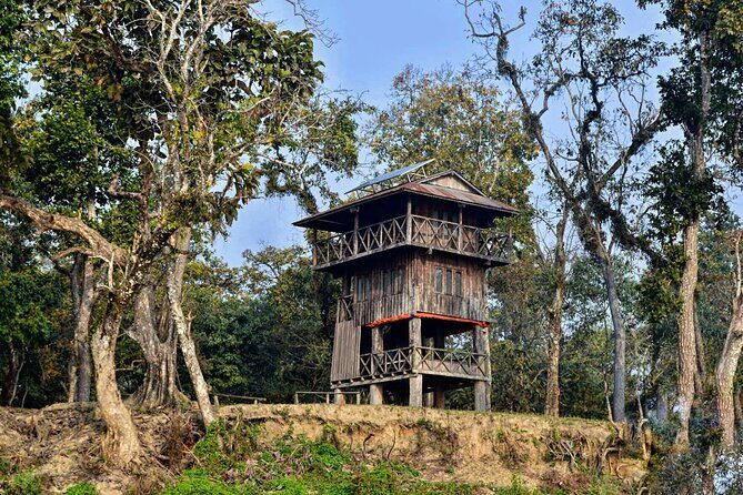 Chitwan Jungle Safari 3-Day Tour - Who Should Consider This Tour?