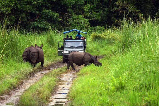 Chitwan Jungle Safari 3-Day Tour - The Sum Up