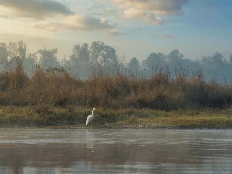 Chitwan Jungle Safari 3 Days Wildlife & Culture - The Itinerary in Detail