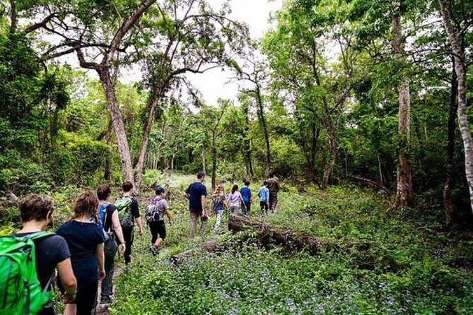 Chitwan Jungle Safari All-Inclusive Package from Kathmandu - Authentic Experiences and Reviews