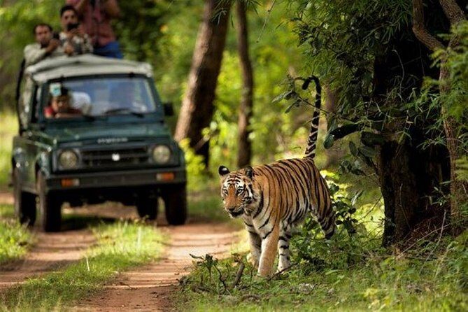 Chitwan Jungle Safari All-Inclusive Package from Kathmandu - FAQs