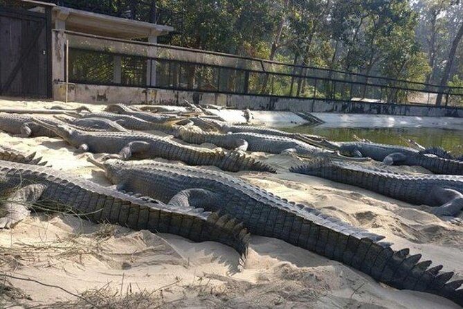 Chitwan Jungle Safari All-Inclusive Package from Kathmandu - Final Thoughts