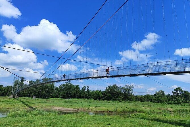 Chitwan Jungle Safari from Kathmandu and Back Multi Day Tour - What We Love and What to Keep in Mind