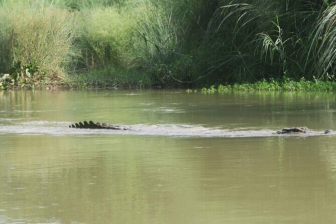 Chitwan Jungle Safari from Kathmandu and Back Multi Day Tour - FAQs