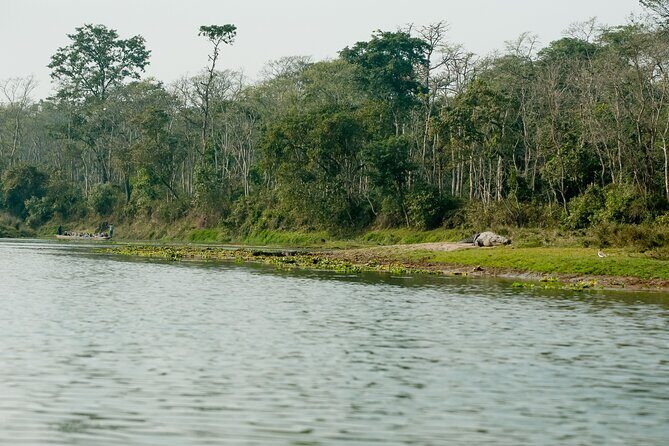 Chitwan Jungle Safari from Kathmandu Pokhara - Who Is This Tour Best For?