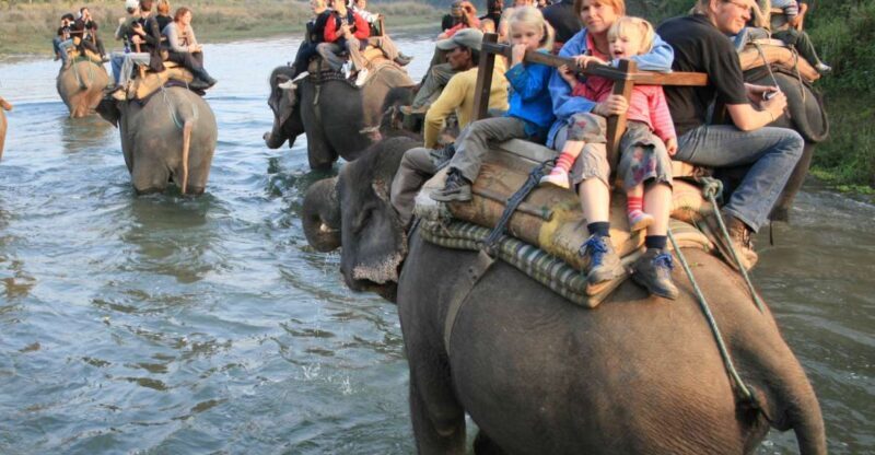 Chitwan Jungle Safari Tour: 3-Day Chitwan National Park Tour - A Detailed Look at the 3-Day Chitwan Jungle Safari Tour