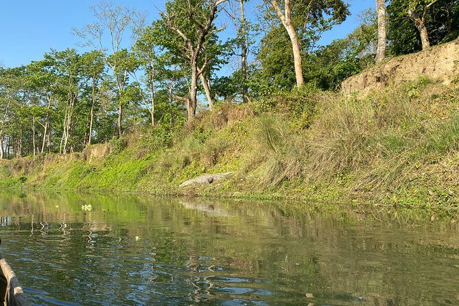 Chitwan Jungle Safari Tour - The Sum Up