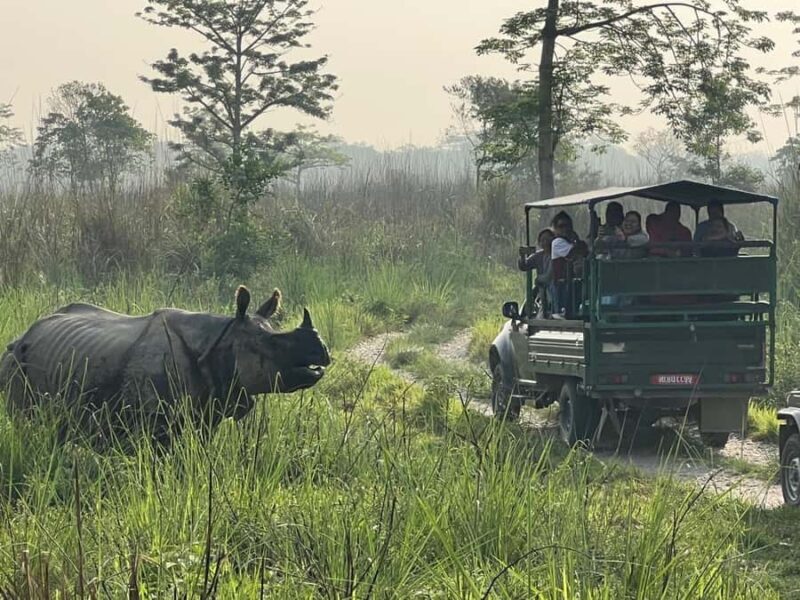 Chitwan National Park-2 night 3 days jungle safari - Key Points
