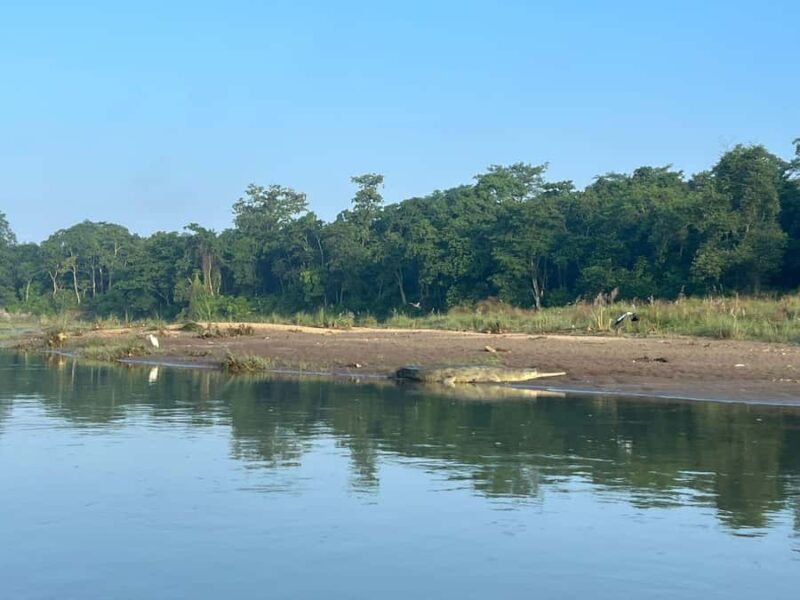 Chitwan National Park-2 night 3 days jungle safari - Final Thoughts: Who Is This Tour For?