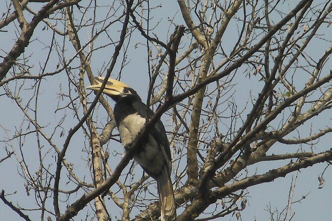 Chitwan National Park 2 nights and 3 days - Introduction