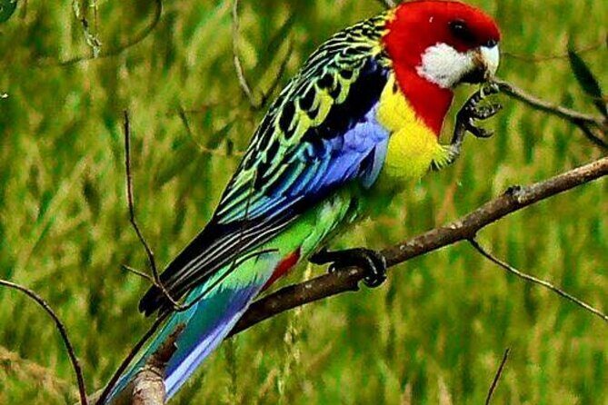 Chitwan National Park Bird Watching Untouched Side from Madi - What Travelers Should Know