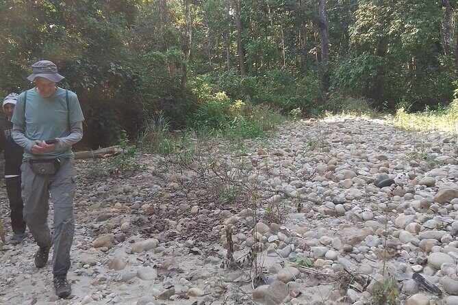 Chitwan National Park Bird Watching Untouched Side from Madi - Who Should Consider This Tour?