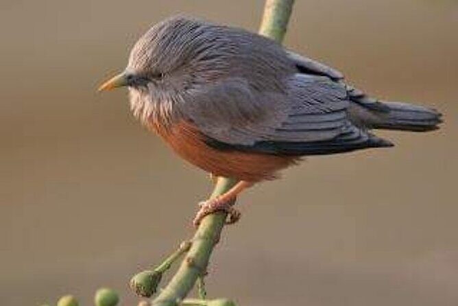 Chitwan National Park Bird Watching Untouched Side from Madi - The Sum Up