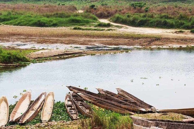 Chitwan National Park Jungle Safari Tours 3 days - The Itinerary in Detail