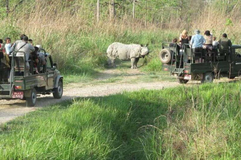Chitwan National Park Tour - Exploring Chitwan National Park: What You Can Expect