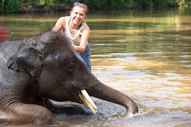 Chitwan National Park Tour - Day 1: Introduction to the Jungle and Local Culture