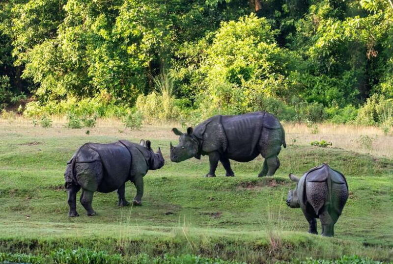 Chitwan National Park Tours: 3 Nights 4 days Full Package - Key Points