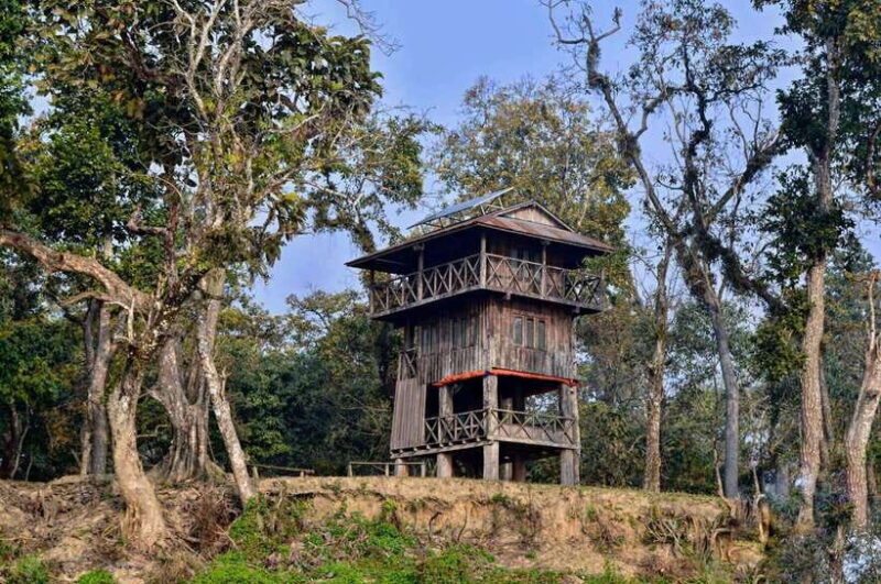 Chitwan National Park: Tower Night Stay with Nature Guide - An In-Depth Look at the Experience