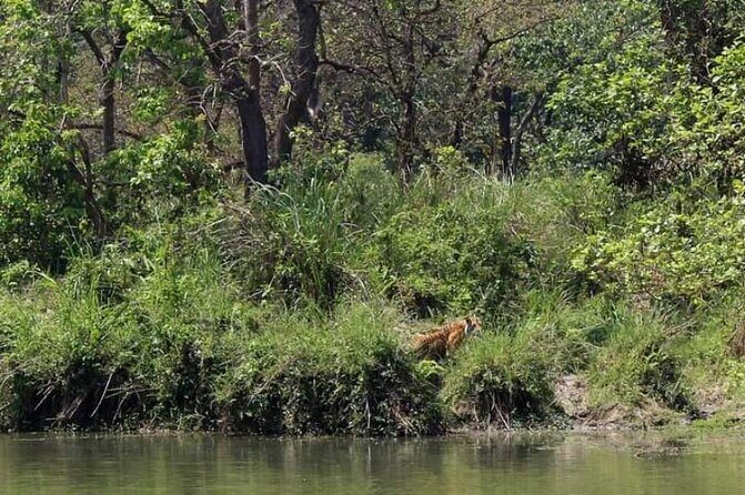 Chitwan National Park Unique Activities From Untouched Side Madi - Key Points
