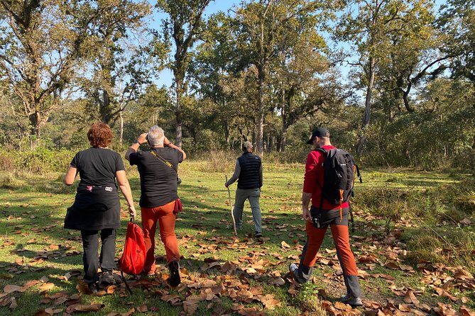 Chitwan Safari for 2 Nights 3 Days - Authenticity and Value