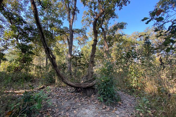 Chitwan Safari for 2 Nights 3 Days - Who Will Enjoy This Tour?