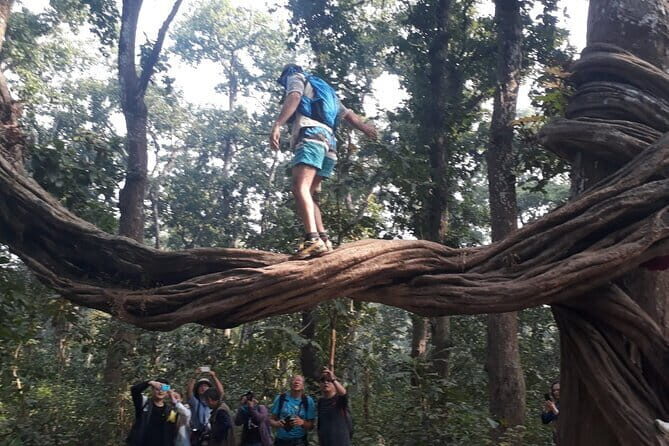 Chitwan to Pokhara Luxury Bus Ticket Reservation - Who Will Love This Journey?