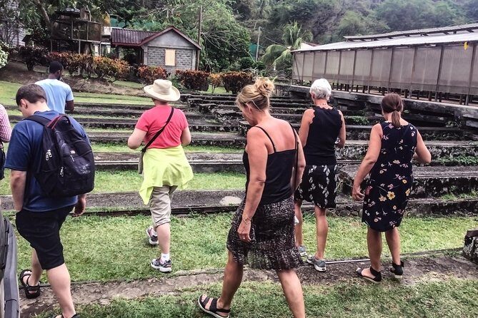 Chocolate Factory Belmont Estate, Annandale Falls & Grand Etang Lake Tour - A Few Words on the Reviews