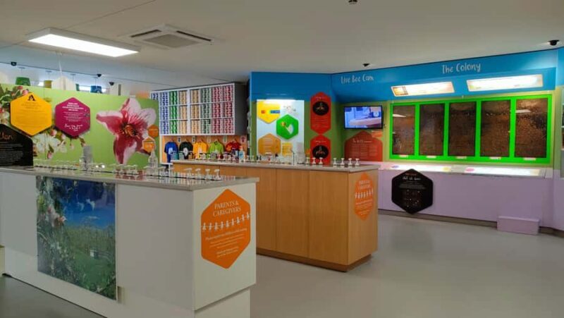 Chocolate Factory, Honey Visitor Centre and Ice Cream Tour - Who Will Love This Tour?