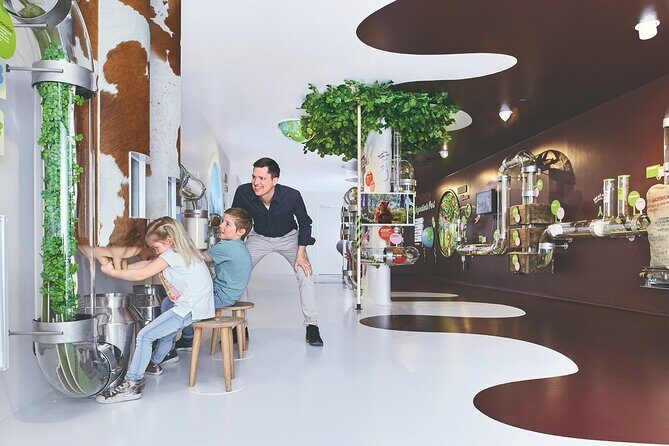 Chocolate factory Individual experience tour - Key Points