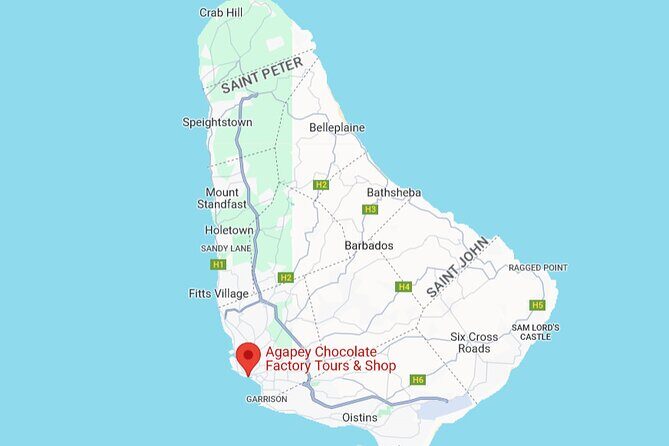 Chocolate Factory Tour in Barbados - Who Will Appreciate This Tour?