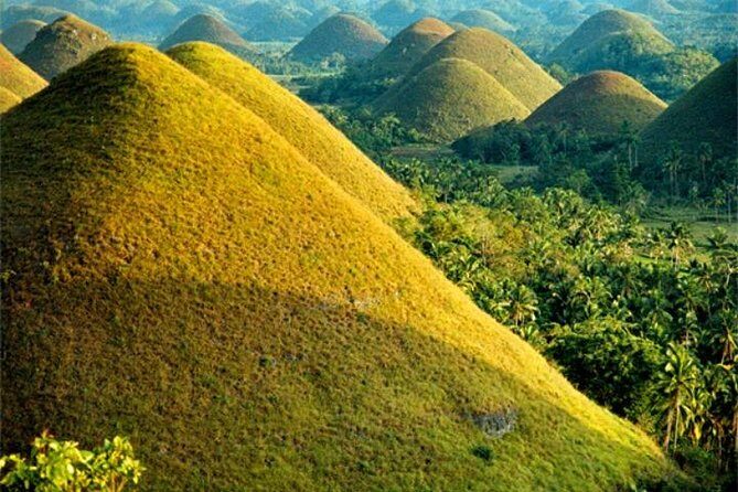 Chocolate hills tour with Tarsier & Loboc river Buffet Lunch (half-day tour) - The Core of the Tour: A Closer Look at Each Stop