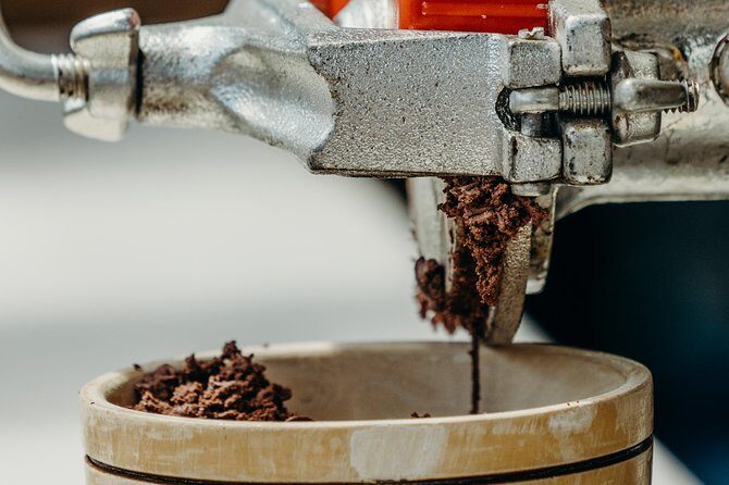 Chocolate Master Class & Taino Concept Store - Who Will Love This Experience?