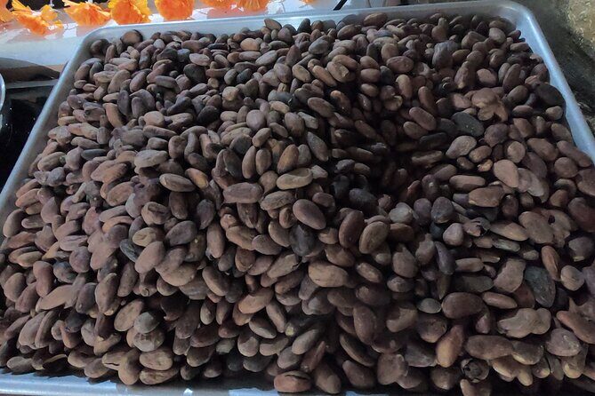 Chocolate Tasting & mayan show - The Value for Money