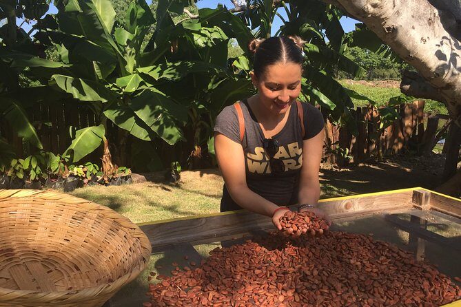 Chocolate Tour in Vallarta - What Makes This Tour Stand Out?