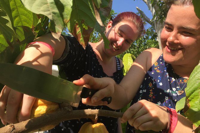 Chocolate Tour in Vallarta - Final Thoughts