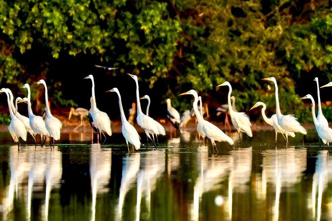 Chong Kneas Floating Village Rowing Boat Tour on Tonlé Sap Lake - Who Will Love This Tour?
