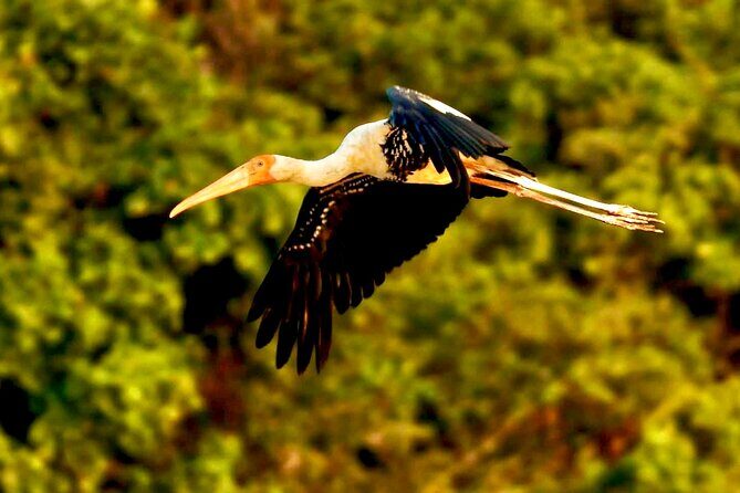 Chong Kneas Floating Village Rowing Boat Tour on Tonlé Sap Lake - The Sum Up