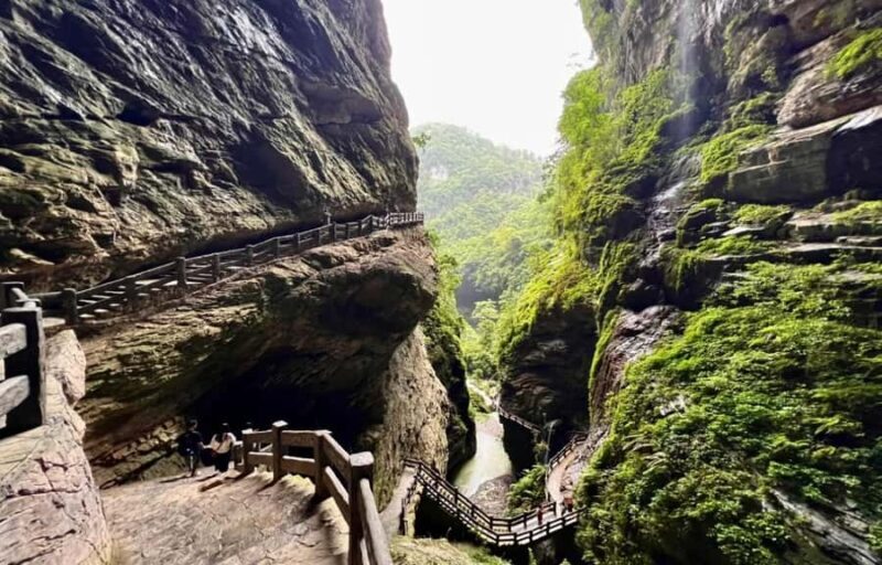 Chongqing 2-Day Private Tour: City Highlights &Wulong Karst - Authentic Experiences and Traveler Feedback