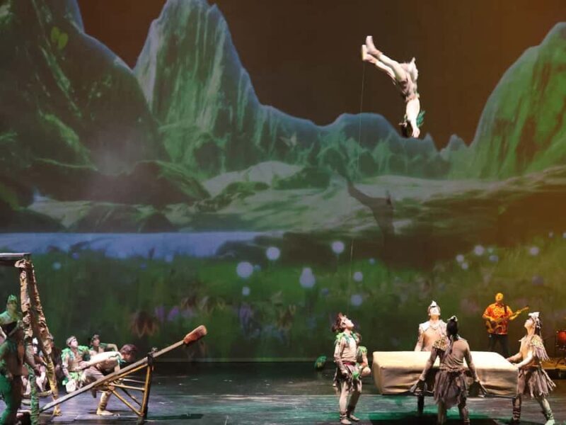 Chongqing Acrobatic Show Ticket - Comparing Similar Experiences