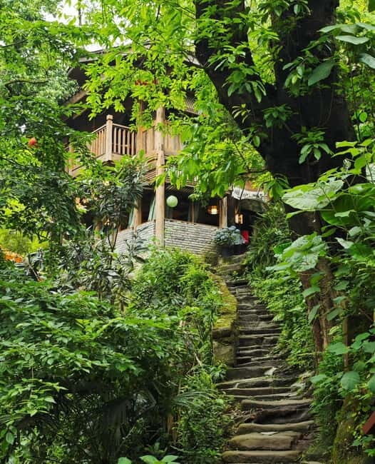 Chongqing Beibei: Scenic Mountain, University & Old Street - An Introduction to the Beibei Tour: Nature, History, and Local Life