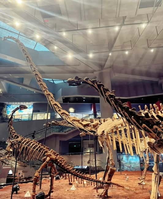 Chongqing Beibei: Scenic Mountain, University & Old Street - Southwest University: A Tranquil Campus Tour