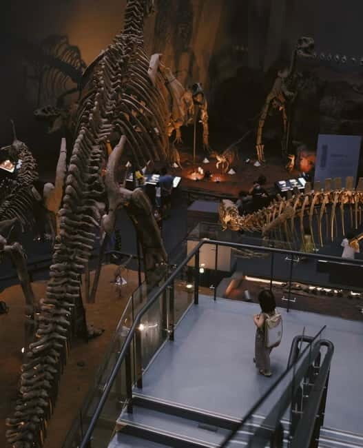 Chongqing Beibei: Scenic Mountain, University & Old Street - Who Will Love This Tour?