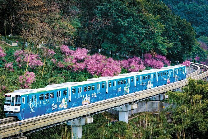 Chongqing City Private Walking Tour Experience - Key Points