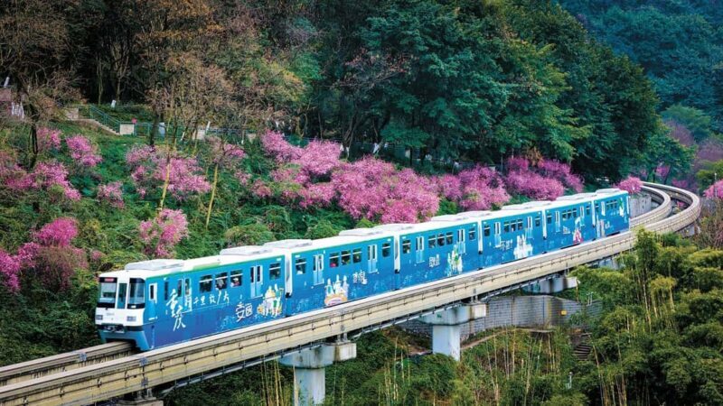 Chongqing: City Walking Private Tour (Guided in Spanish) - FAQ