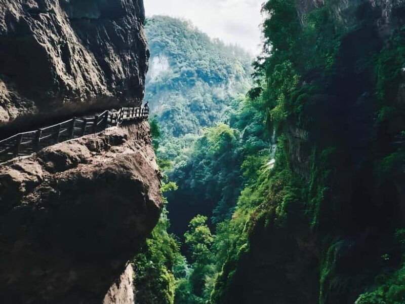 Chongqing Explore Wulong Private Day Tour - Authentic Experiences and Highlights
