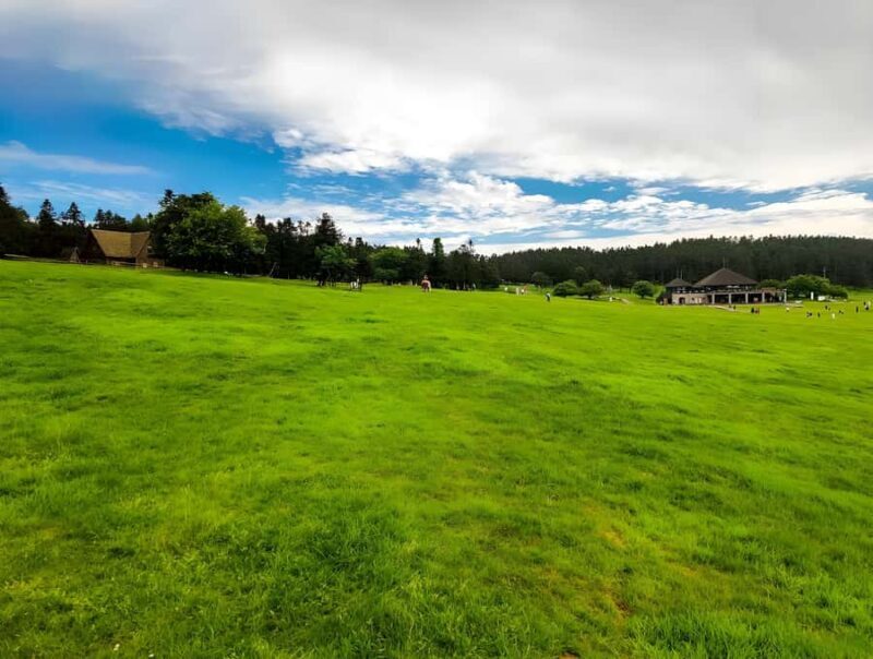 Chongqing: Fairy Mountain Forest Park Ticket - An Introduction to Fairy Mountain Forest Park